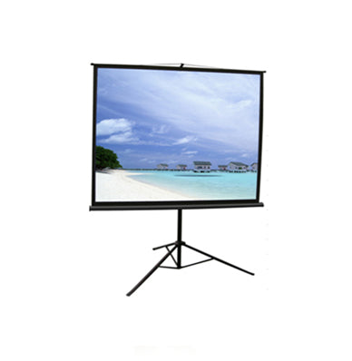 Projector Screens – The Whiteboard Shop