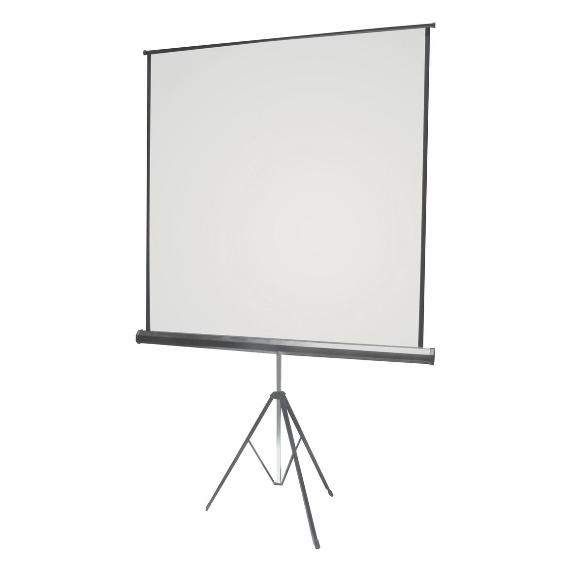 Projector Screens – The Whiteboard Shop